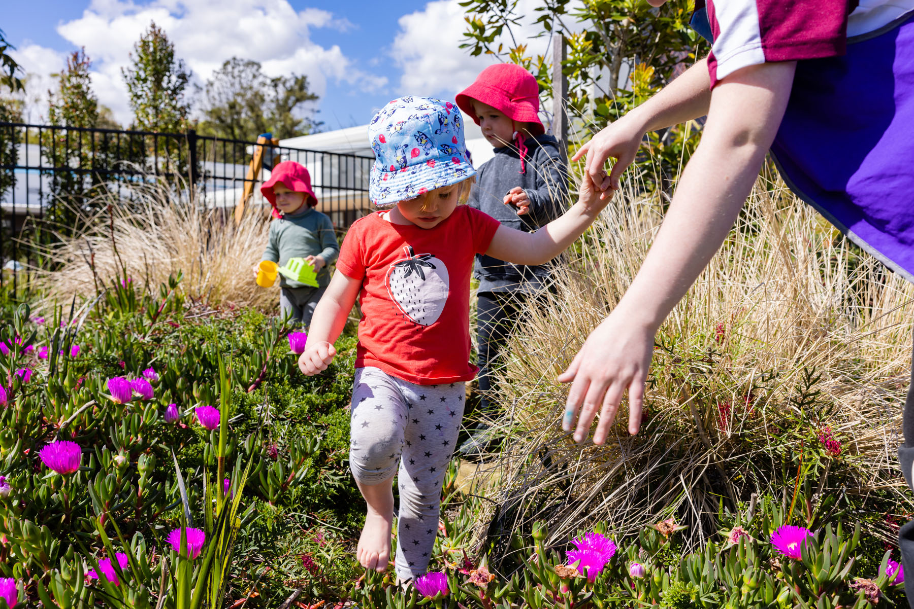 St Nicholas OOSH | Find a Service